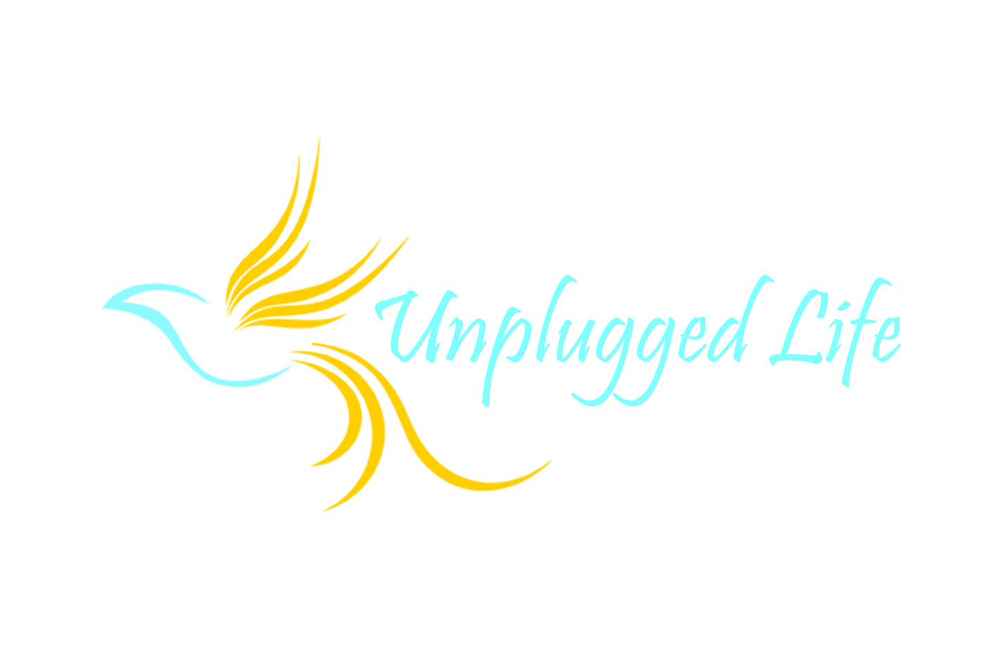 About Us - Unplugged Life